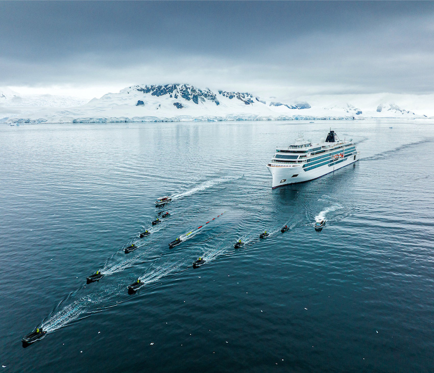Antarctic Explorer - GrownUps New Zealand
