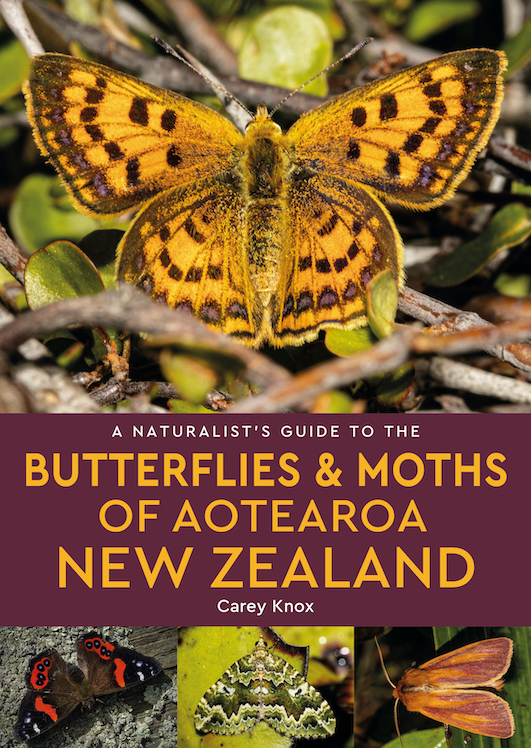 COMP CLOSED | Book Giveaway | Butterflies & Moths of Aotearoa New ...