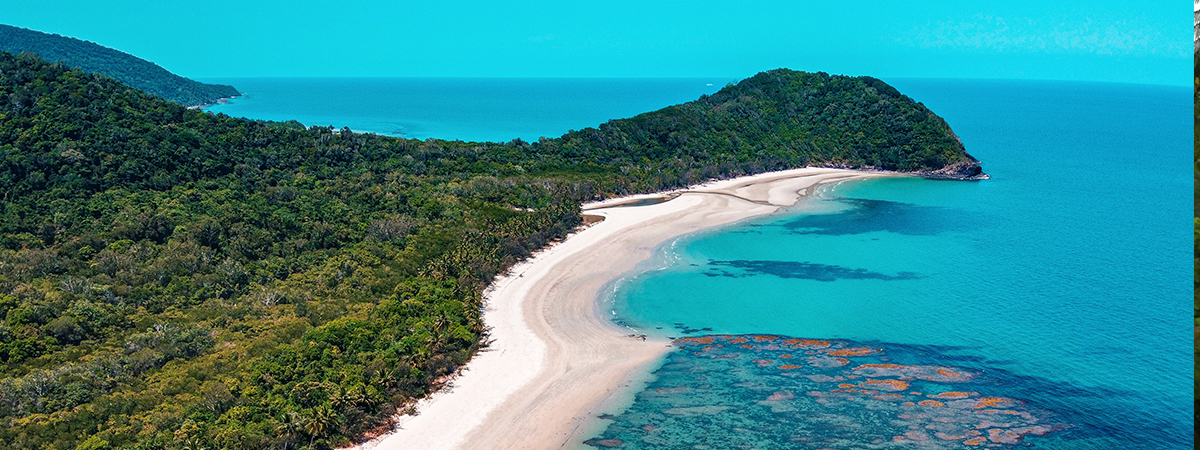 10 Facts About the Daintree Rainforest - GrownUps New Zealand