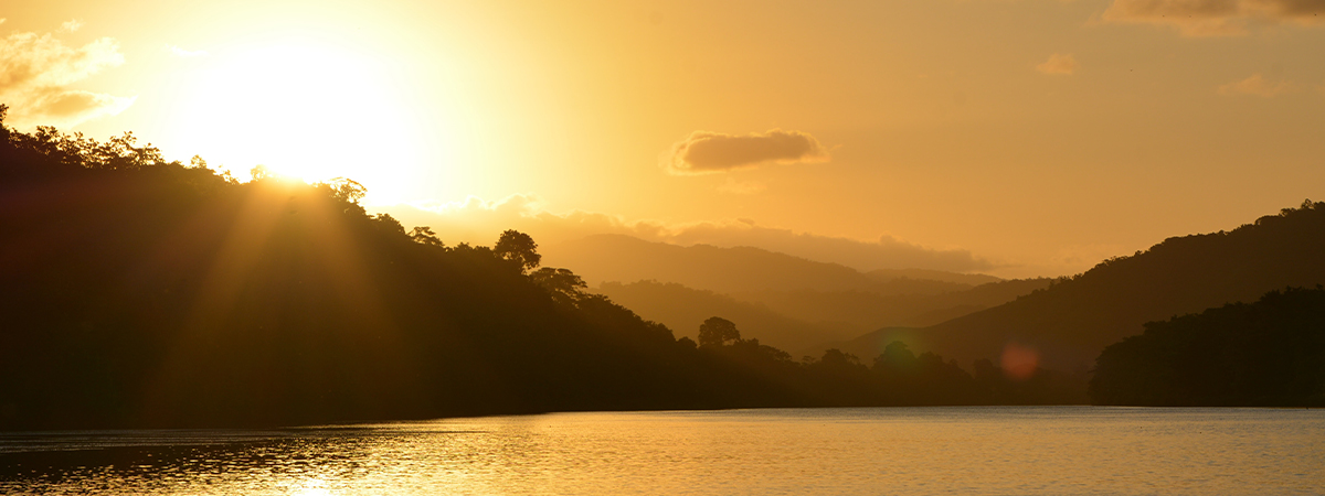 10 Facts About the Daintree Rainforest - GrownUps New Zealand