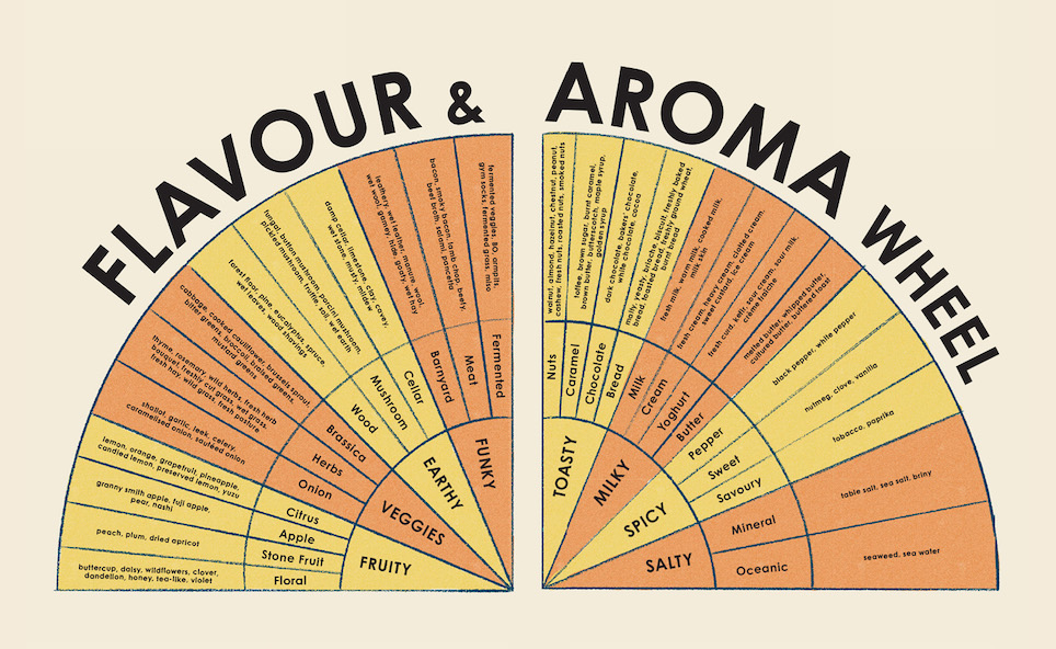 Flavour Theory - GrownUps New Zealand