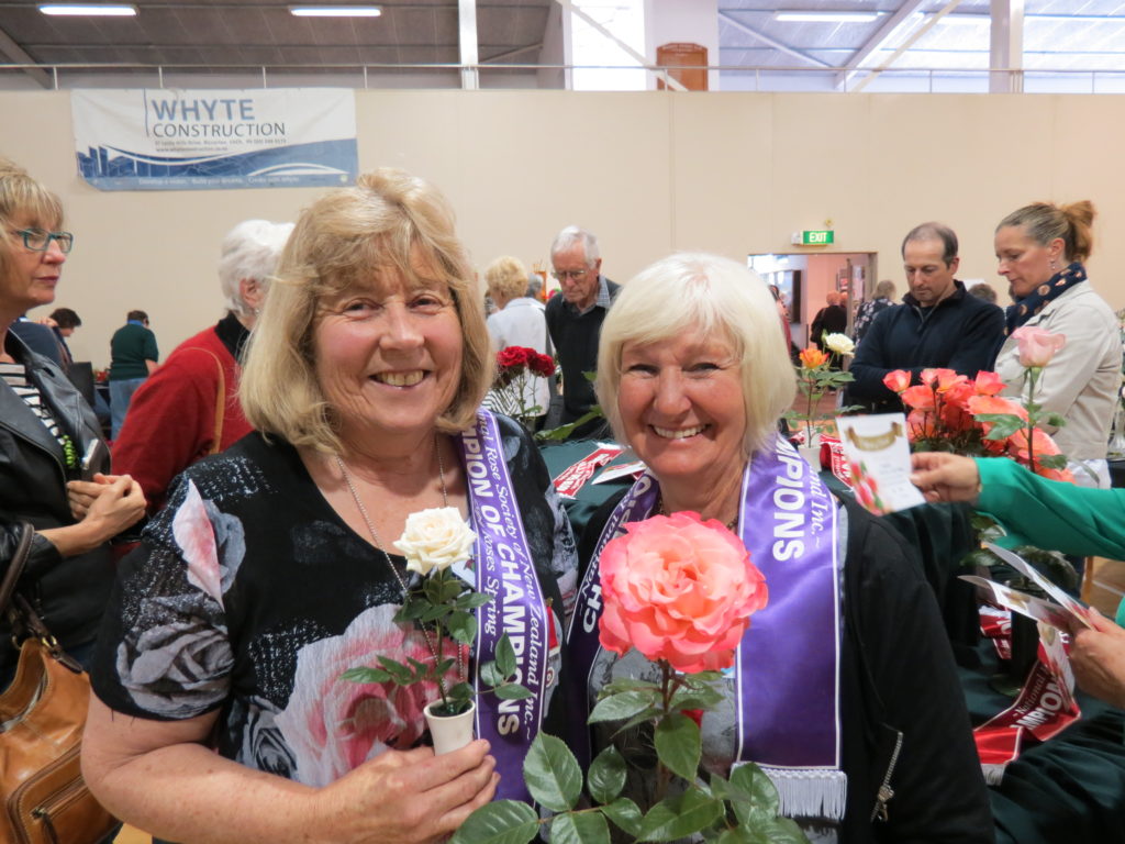 Rose season in Review - GrownUps New Zealand