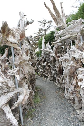 Stumped – by a Garden With a Difference! - GrownUps New Zealand