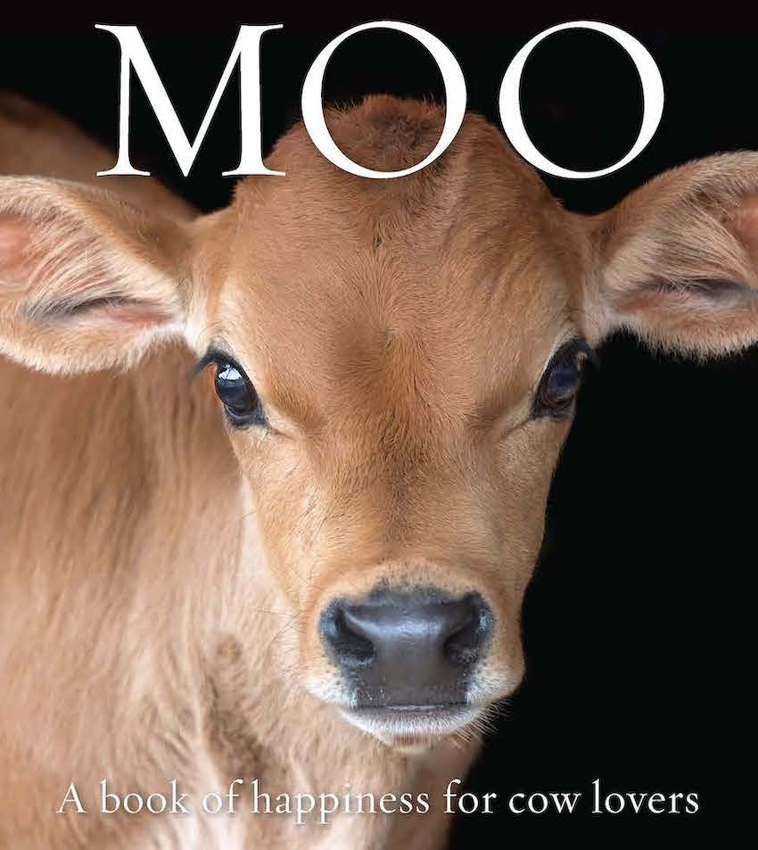 COMP CLOSED | Book Giveaway | Moo - GrownUps New Zealand