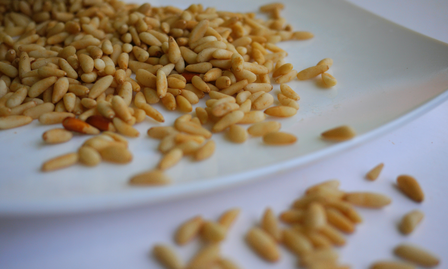 So What's New? New Zealand Grown Pine Nuts! - GrownUps New Zealand