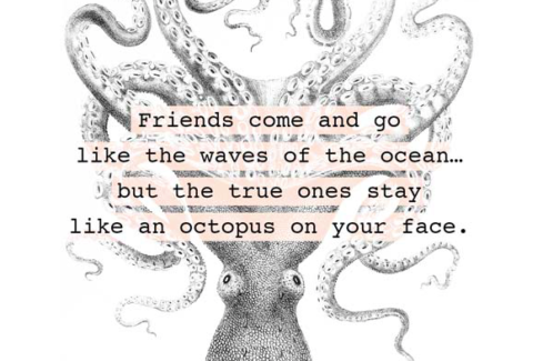 Quote: True friends are like an octopus on your face - GrownUps New Zealand