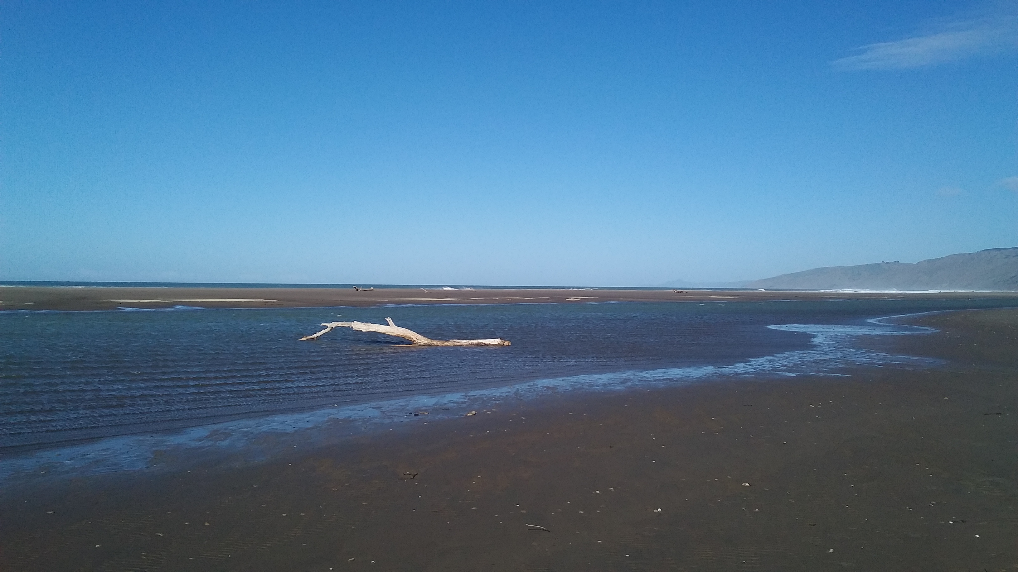 Summer Hideaway at Herbertville - GrownUps New Zealand