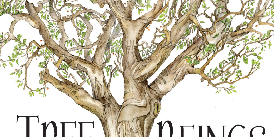 Tree Beings by Raymond Huber & Sandra Severgnini - GrownUps New Zealand