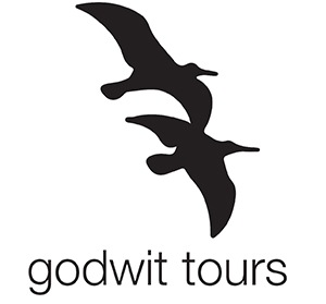 Travel: Why we love it - GrownUps New Zealand