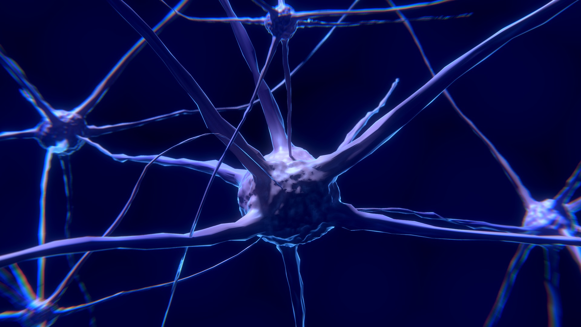 Neurons that fire together, wire together - GrownUps New Zealand